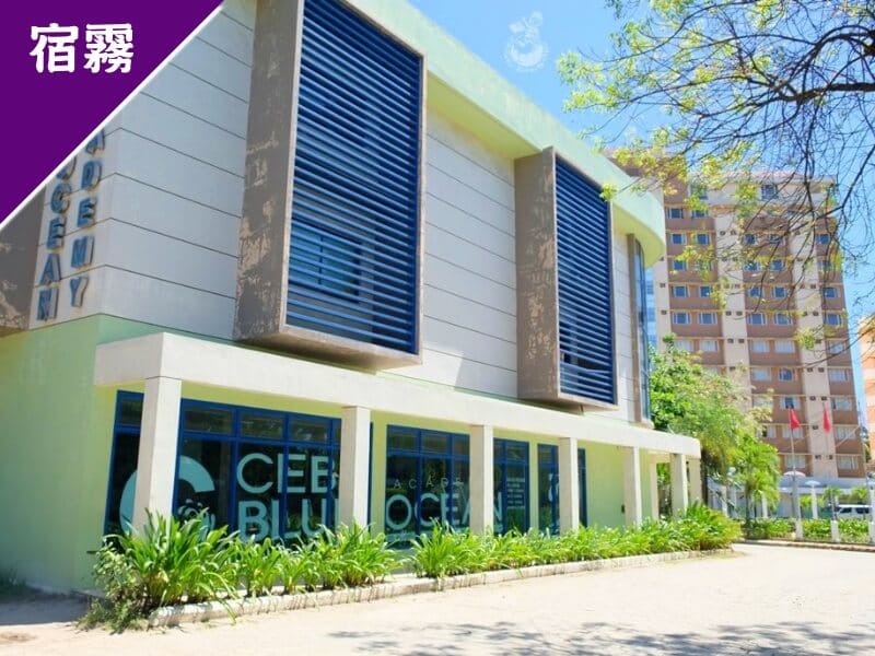 CBOA–出國遊學就是要又學又玩 度假村密集課程 - 忠欣遊學–菲律賓遊學代辦